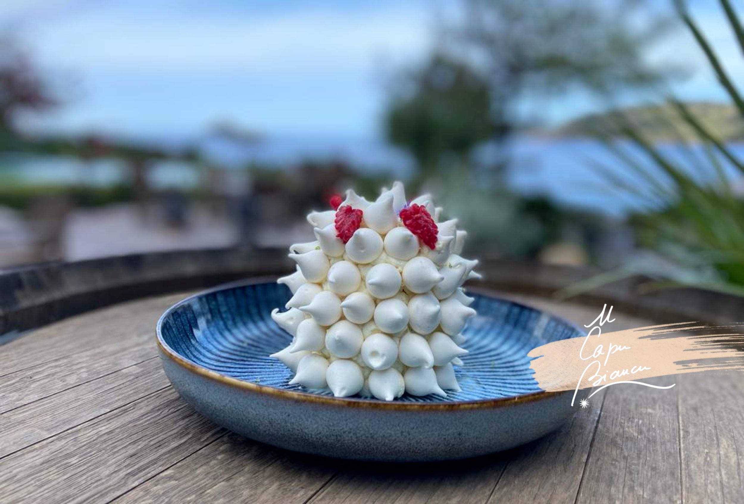 The island of Corsica, the island of life in all its forms