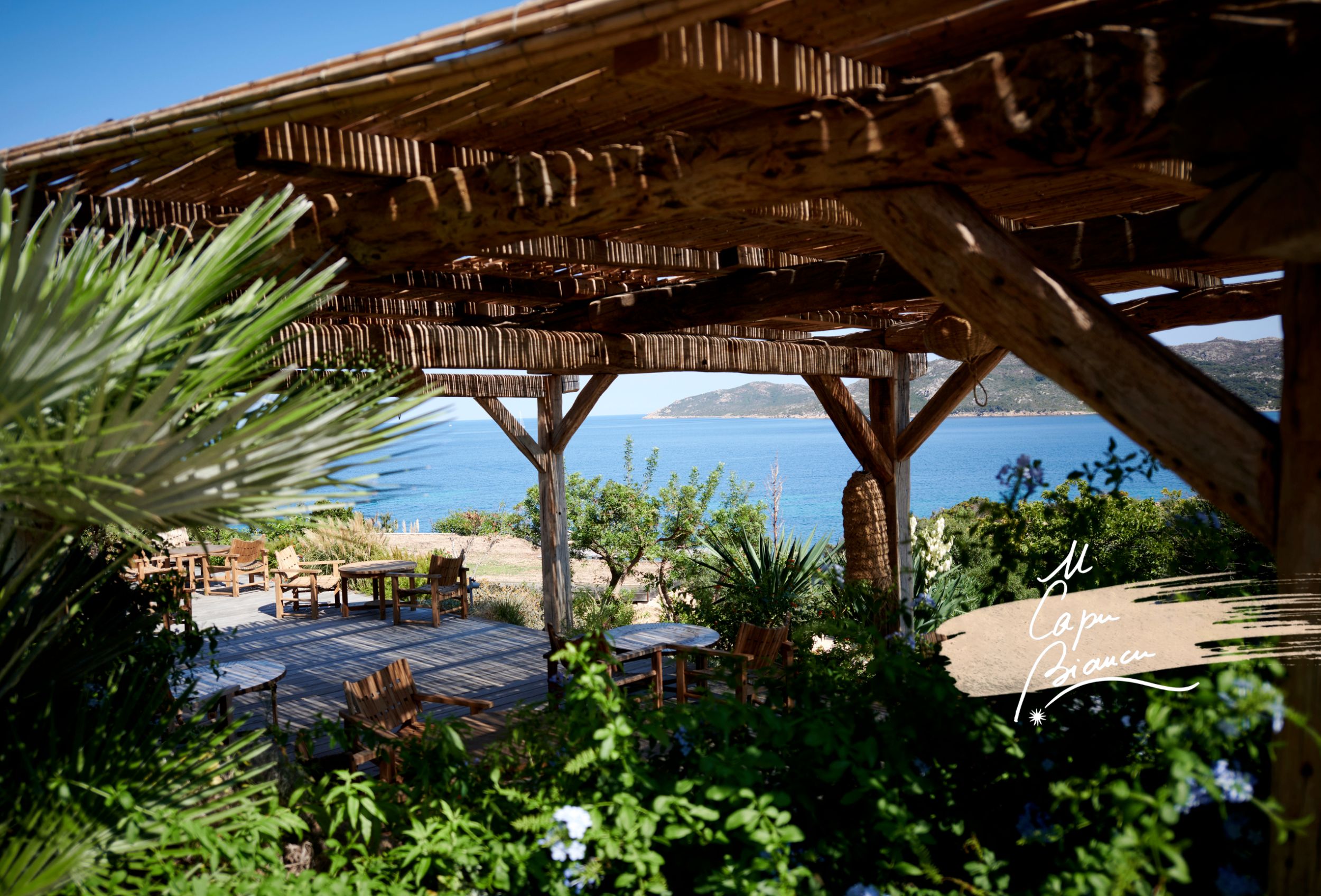 The island of Corsica, the island of life in all its forms