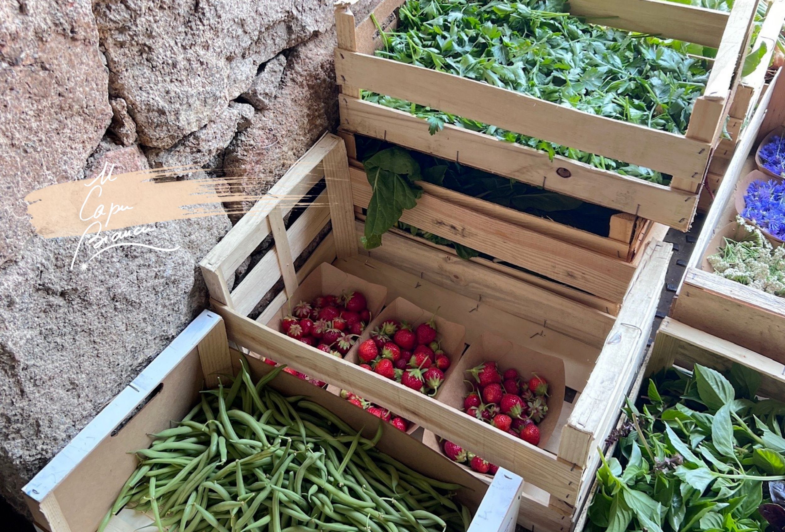 At the Hotel U Capu Biancu, commitment means action | U Capu Biancu ...